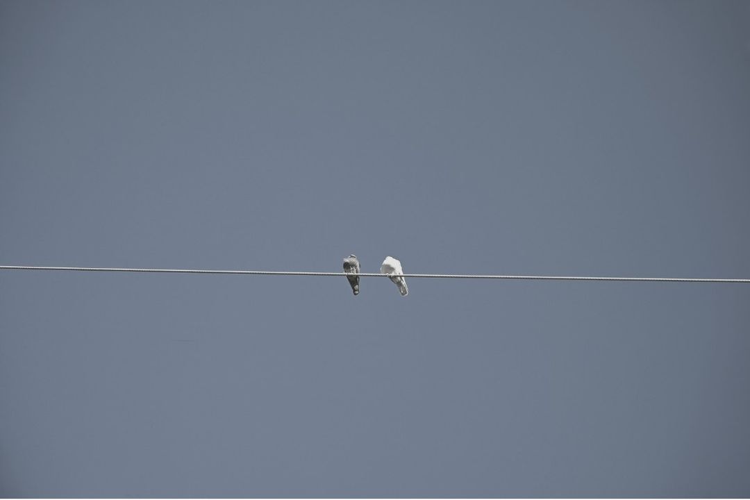 AFR Spotlight: Stropro — the pioneers lifting the Australian Structured Product market | Stropro